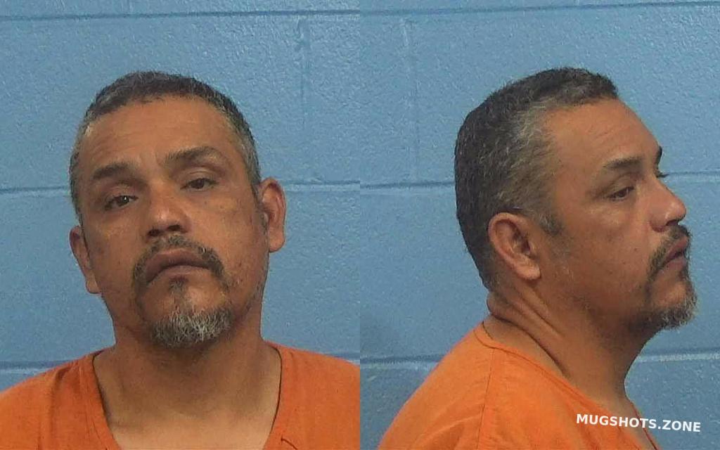 CARRILLO NAVARRETTE JOSE LUIS 05/31/2023 - Williamson County Mugshots Zone