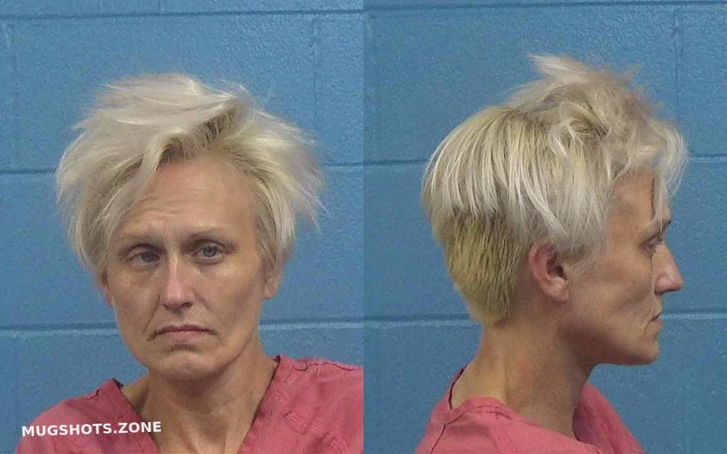 KAYLOR JULIE KAY 06/01/2023 - Williamson County Mugshots Zone