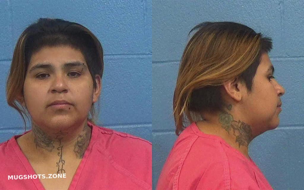 CASAREZ SELENA 06/06/2023 - Williamson County Mugshots Zone
