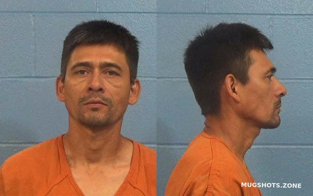 NAVARRO EDWIN 06/08/2023 - Williamson County Mugshots Zone