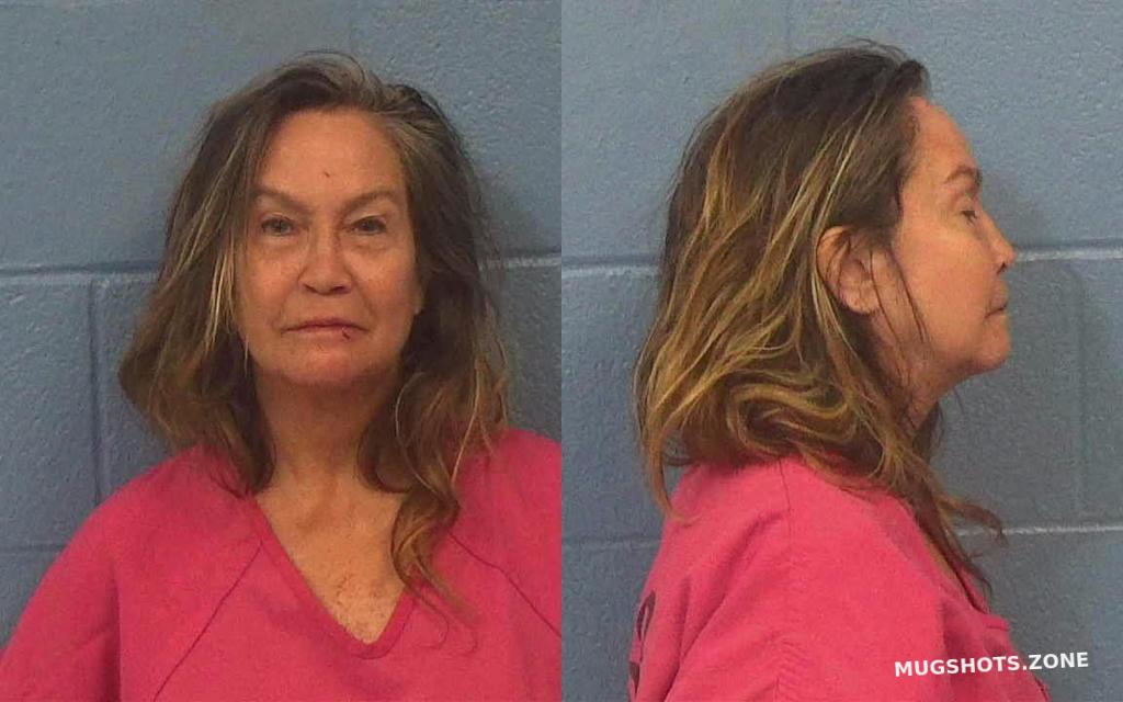 ROOK BARBARA 06/11/2023 - Williamson County Mugshots Zone