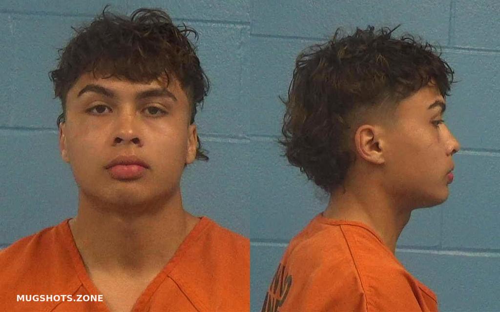 HAMILTON ZYON ANTHONY 06/12/2023 - Williamson County Mugshots Zone