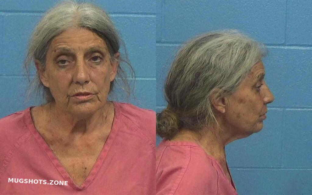 ISAACS DANA BEALL 06/13/2023 - Williamson County Mugshots Zone