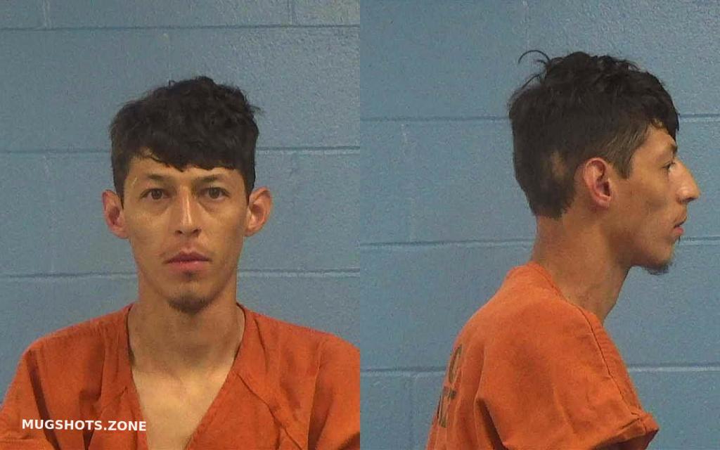 Salinas Isaac 06 15 2023 Williamson County Mugshots Zone
