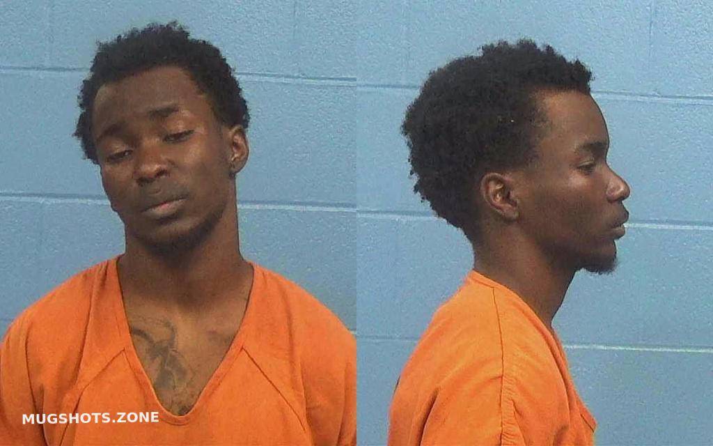 PITRE JULIAN WILTZ 06/16/2023 - Williamson County Mugshots Zone