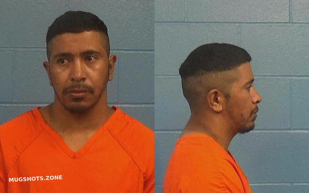 TALAVERA ESTRADA OSMAN IVAN 07/03/2023 - Williamson County Mugshots Zone
