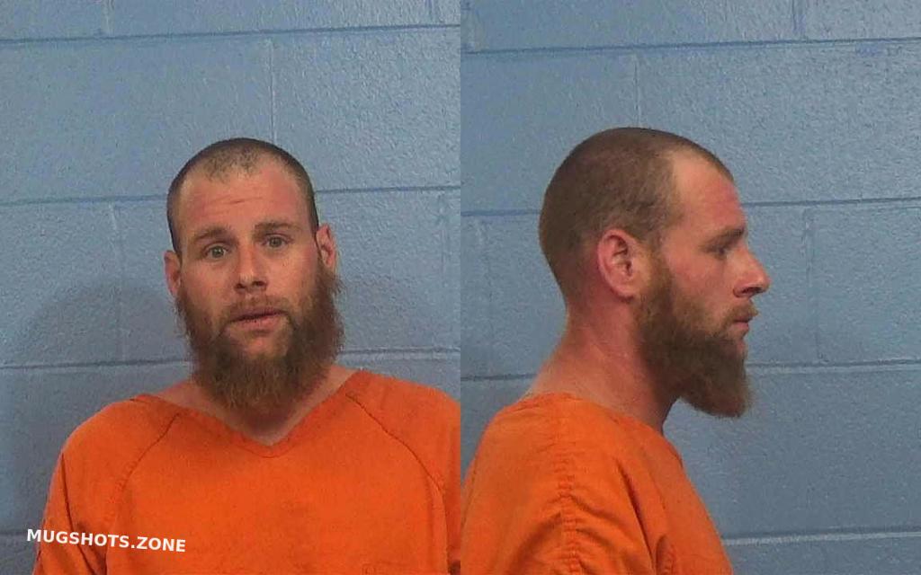 PITTS MATTHEW CURTIS 07/06/2023 - Williamson County Mugshots Zone