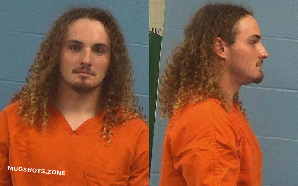 REAVES DYLAN DALLAS 07/12/2023 - Williamson County Mugshots Zone