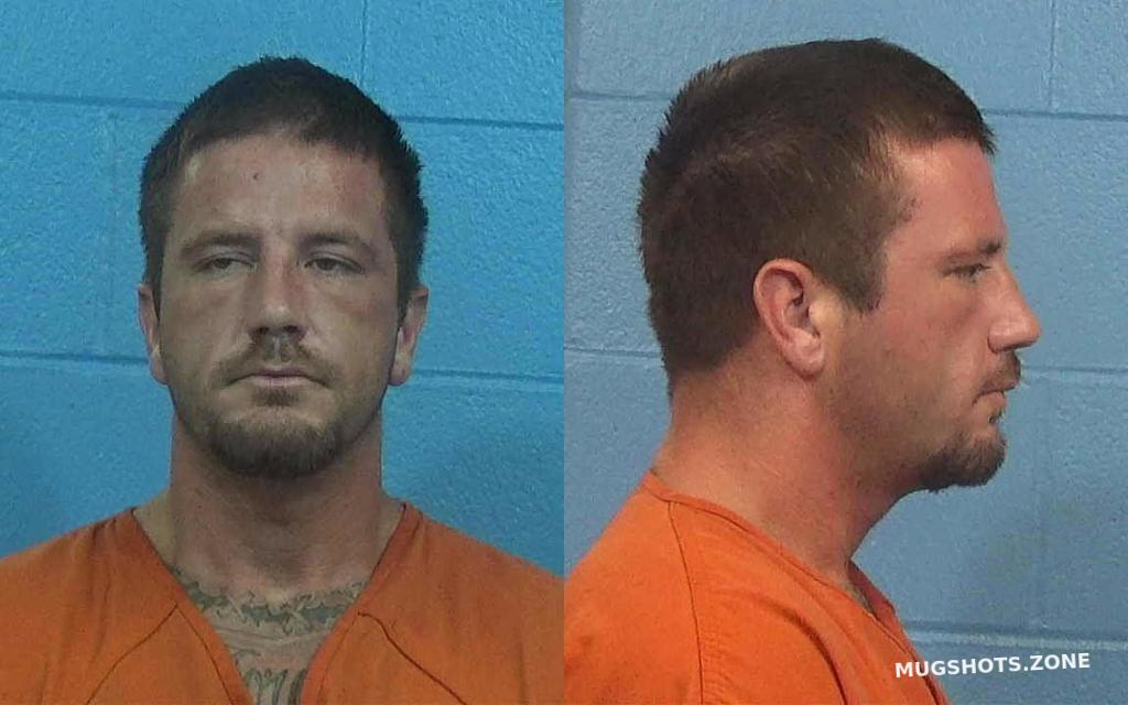 MONDAY TAYLOR LEE 07/14/2023 - Williamson County Mugshots Zone