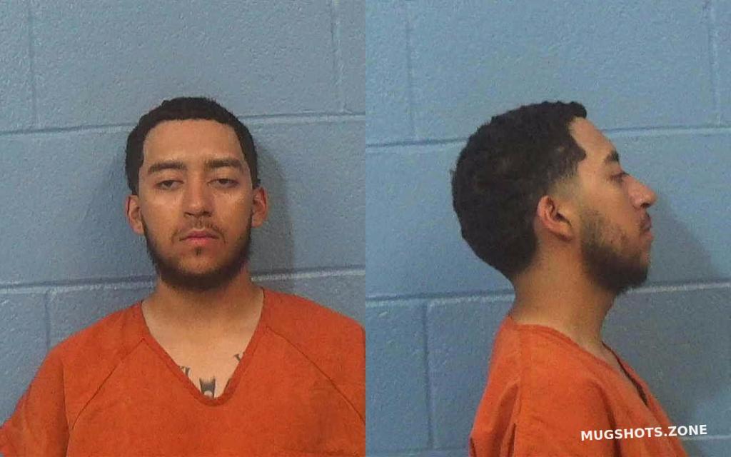 GAUNA KEVIN ALEXANDER 07/14/2023 - Williamson County Mugshots Zone