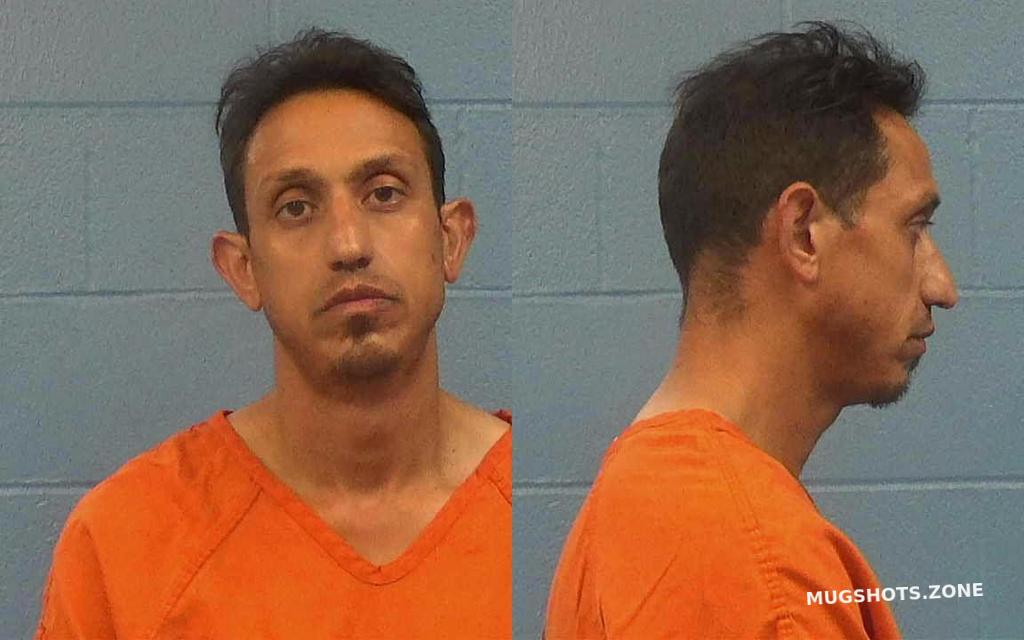 CARCAMO ANDY ALEXANDER 07/27/2023 - Williamson County Mugshots Zone
