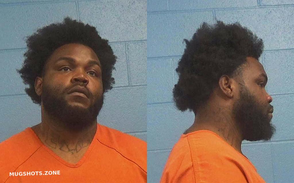 MEEKS CAMERON DONNELL 08/02/2023 - Williamson County Mugshots Zone