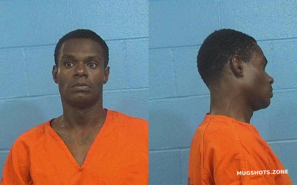 WILLIAMS JORDAN DANTE 08/08/2023 - Williamson County Mugshots Zone