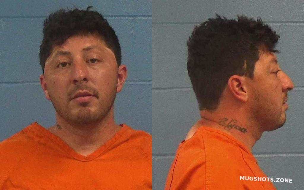 AVILES STEVEN MICHAEL 08/09/2023 - Williamson County Mugshots Zone