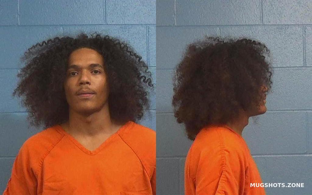 FARRELL JAYTON MICHEAL 08/15/2023 - Williamson County Mugshots Zone