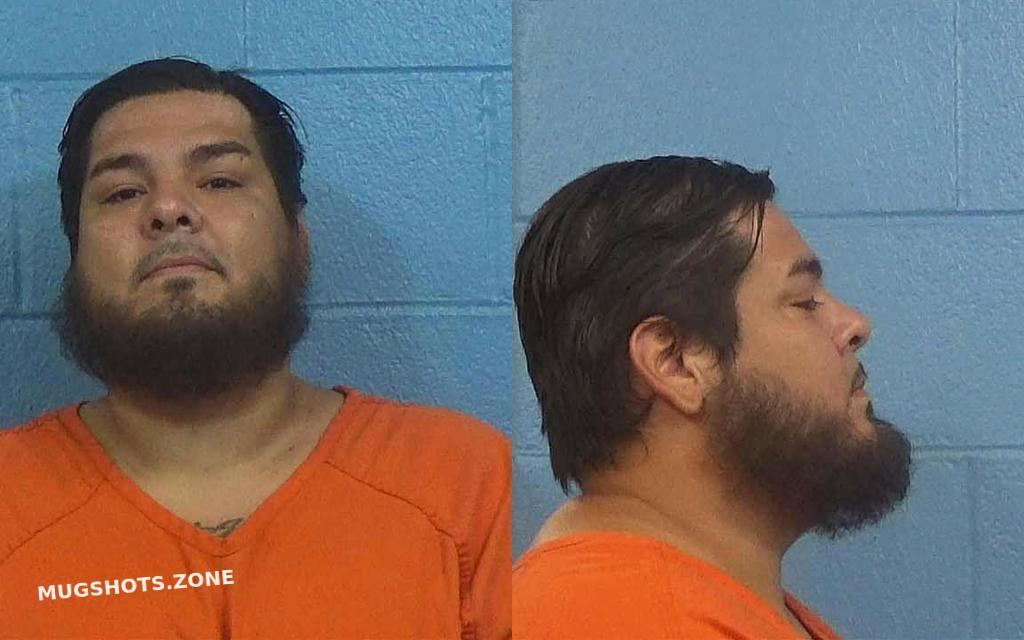 ELIZONDO MARC ANTHONY 08/17/2023 - Williamson County Mugshots Zone