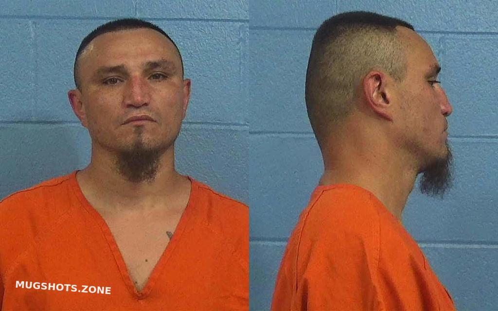 SANCHEZ DANIEL RAY JR. 08/20/2023 - Williamson County Mugshots Zone