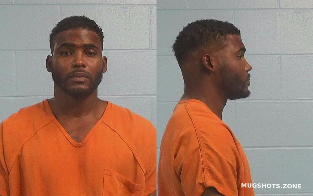 WILLIAMS AARON ISAIAH 09/02/2023 - Williamson County Mugshots Zone