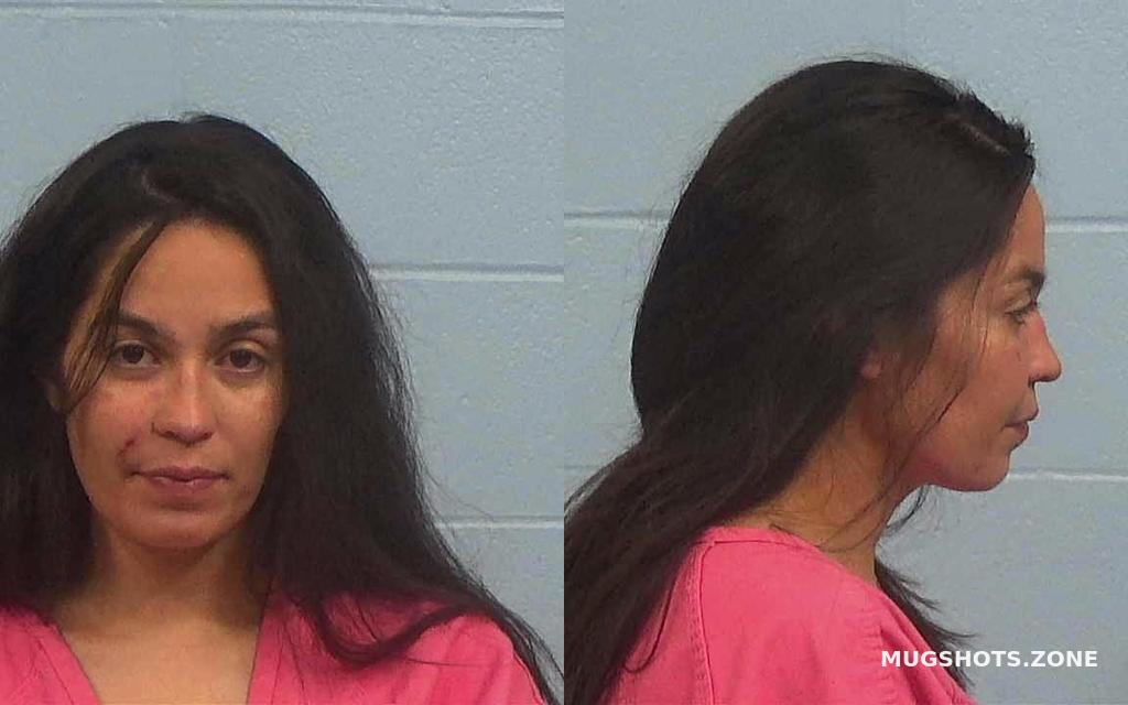 OROSCO SANDRA FLORENCIA 09/17/2023 - Williamson County Mugshots Zone