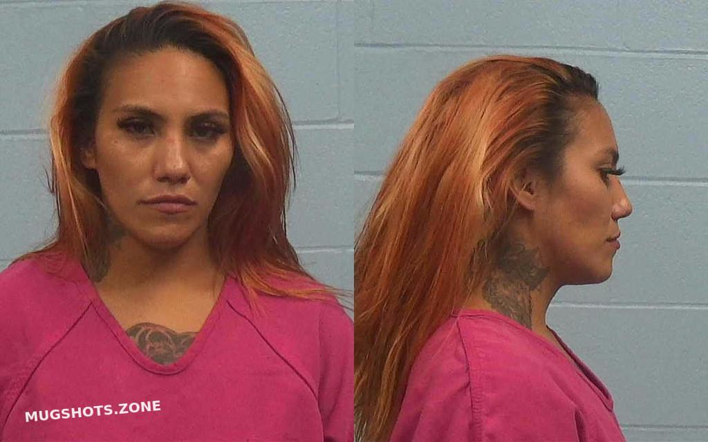 GARCIA DESTINY 09/20/2023 - Williamson County Mugshots Zone
