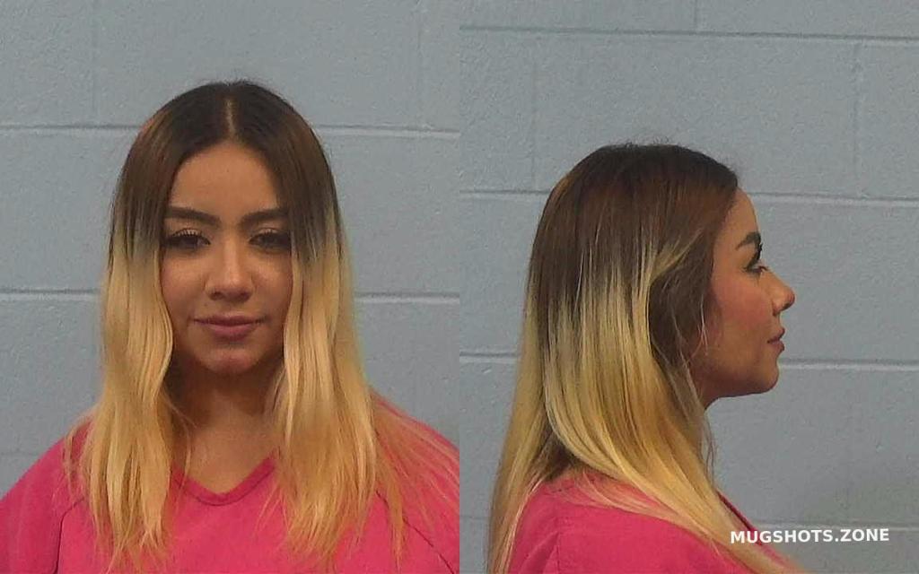 HERRERA JAELINE IBETH 09/26/2023 - Williamson County Mugshots Zone