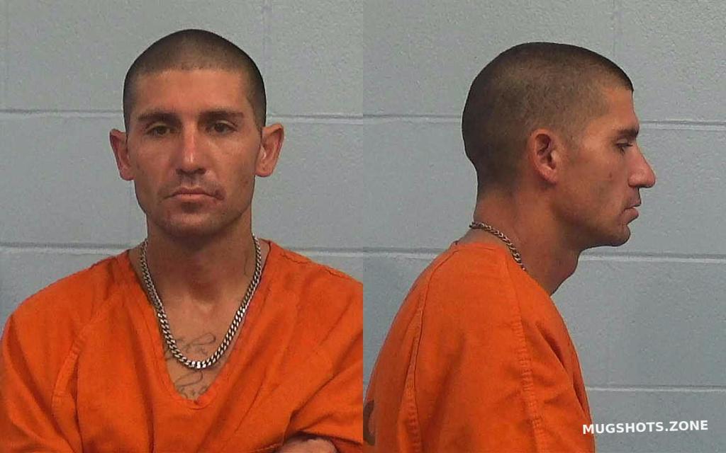 MCLAUGHLIN RYAN COLLINS 10/05/2023 - Williamson County Mugshots Zone
