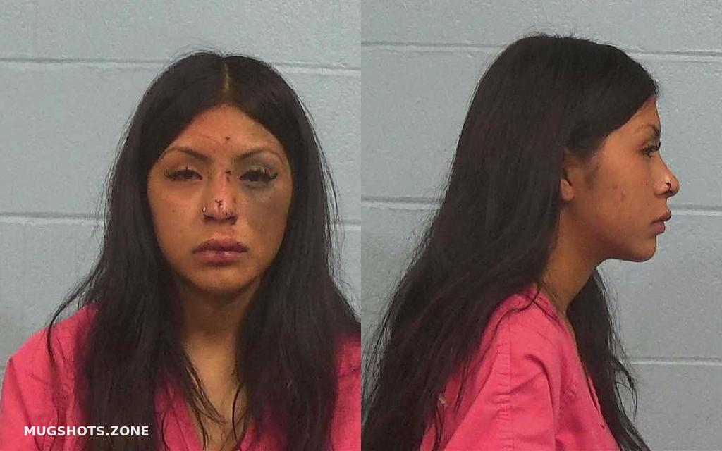 FRIAS MARISOL 10/21/2023 - Williamson County Mugshots Zone