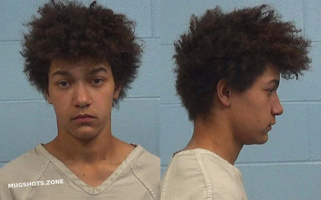 WILLIAMS TRACE H 11/02/2023 - Williamson County Mugshots Zone
