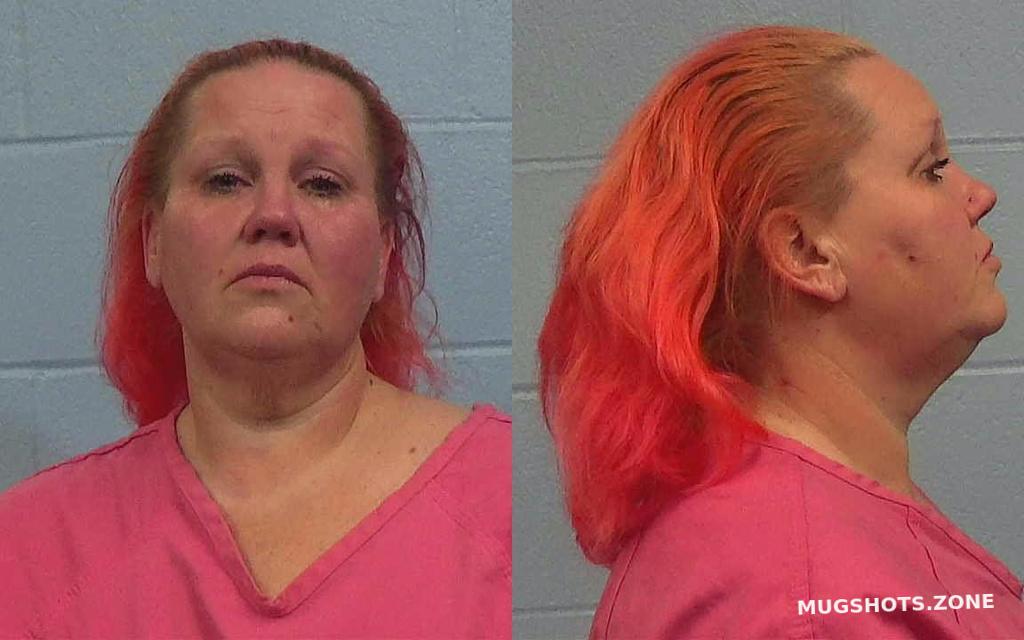 DELANEY HEATHER ANN 11/12/2023 - Williamson County Mugshots Zone