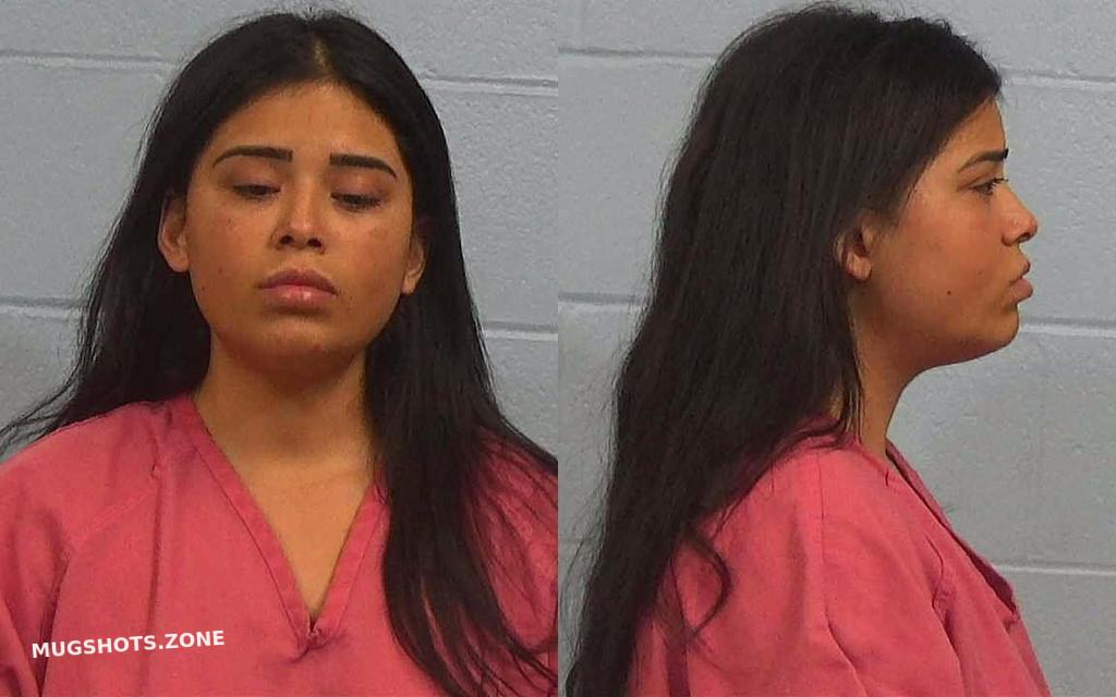 REHAK NICOLE MARIE 11/12/2023 - Williamson County Mugshots Zone