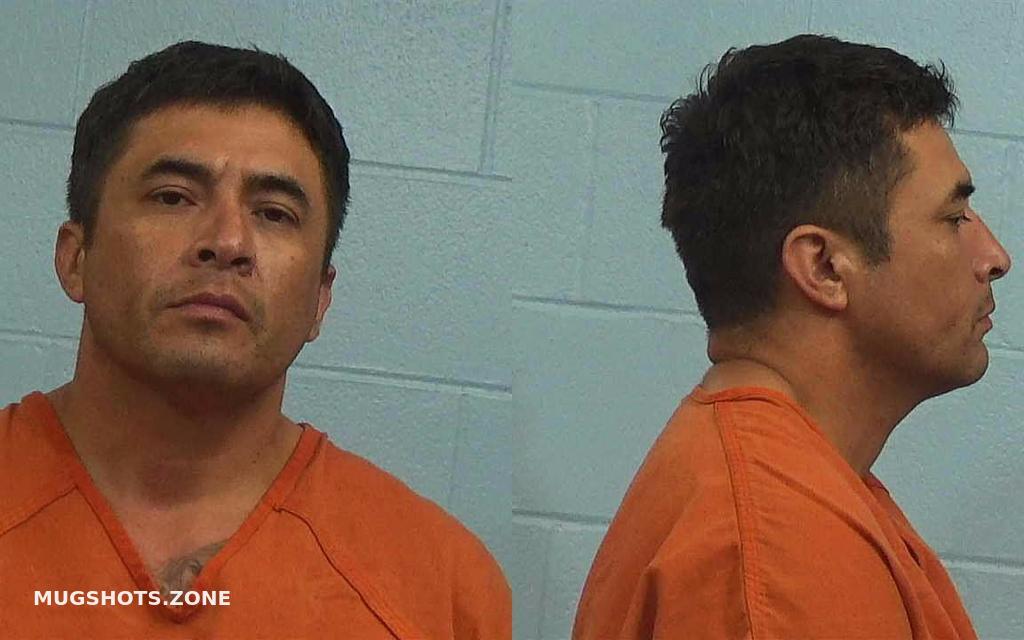 ARGOTE DAVID RAMANDO 11/14/2023 - Williamson County Mugshots Zone