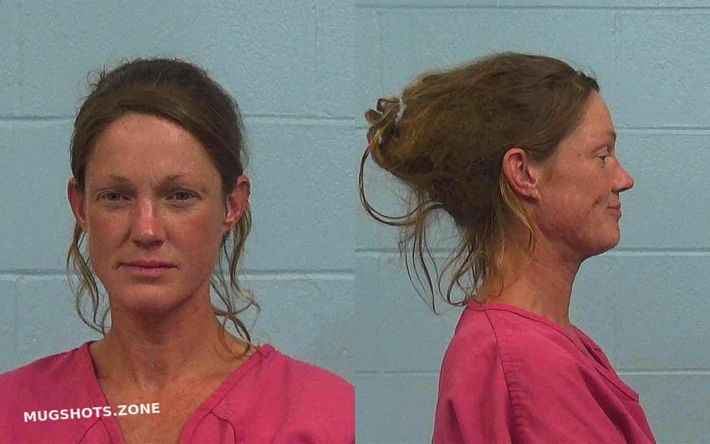 SMALL CHRISTINE MORGAN 11/15/2023 - Williamson County Mugshots Zone