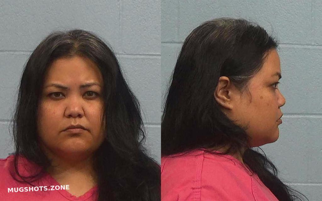 MENDIOLA RUTH LEA 11/18/2023 - Williamson County Mugshots Zone