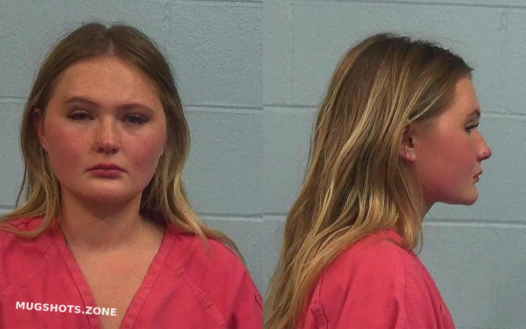 Smith Lauren 11 18 2023 Williamson County Mugshots Zone