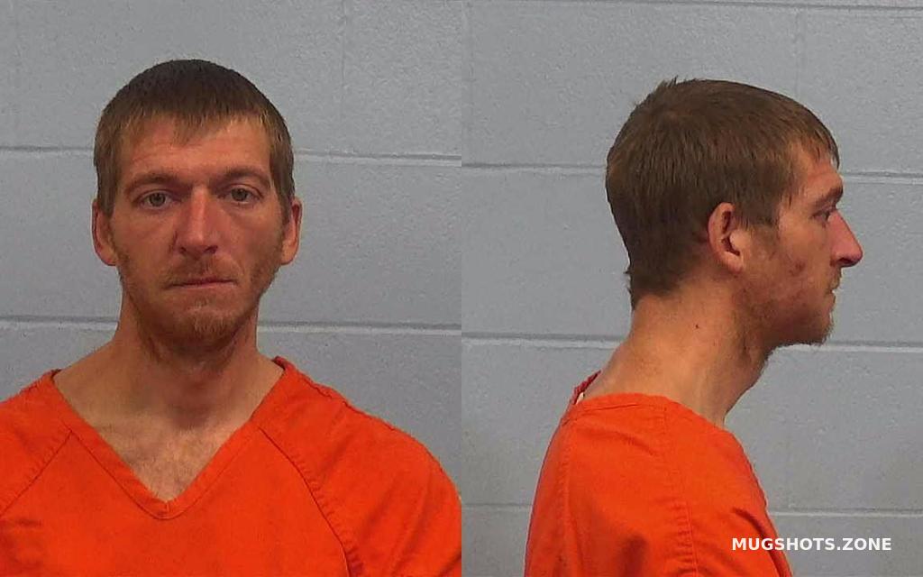 BOGAN BRADLEY WAYNE 11/19/2023 - Williamson County Mugshots Zone