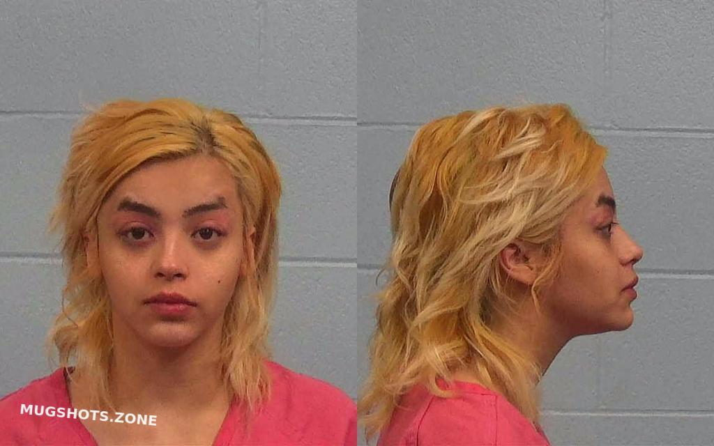 ZAMORA KAYLA NICOLE 11/21/2023 - Williamson County Mugshots Zone