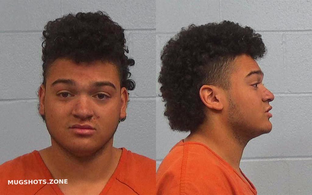 POWELL SKYLAR DAVID RIGGS 11/21/2023 - Williamson County Mugshots Zone