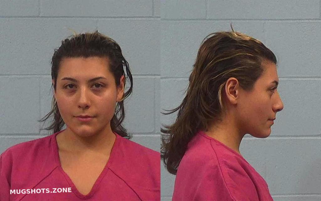 GODINEZ NINA SAMANTHA 11/22/2023 - Williamson County Mugshots Zone