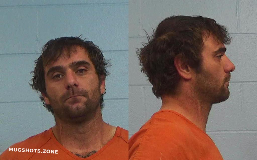 LIVELY ERIC SEAN 12/02/2023 - Williamson County Mugshots Zone