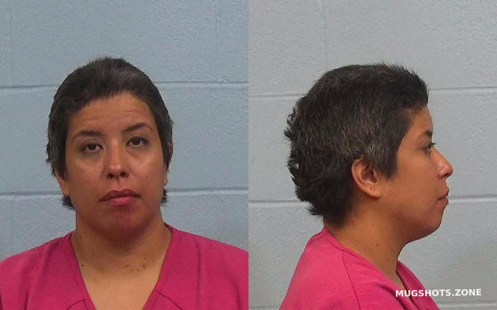 RODRIGUEZ NELDA ANN 12/04/2023 - Williamson County Mugshots Zone