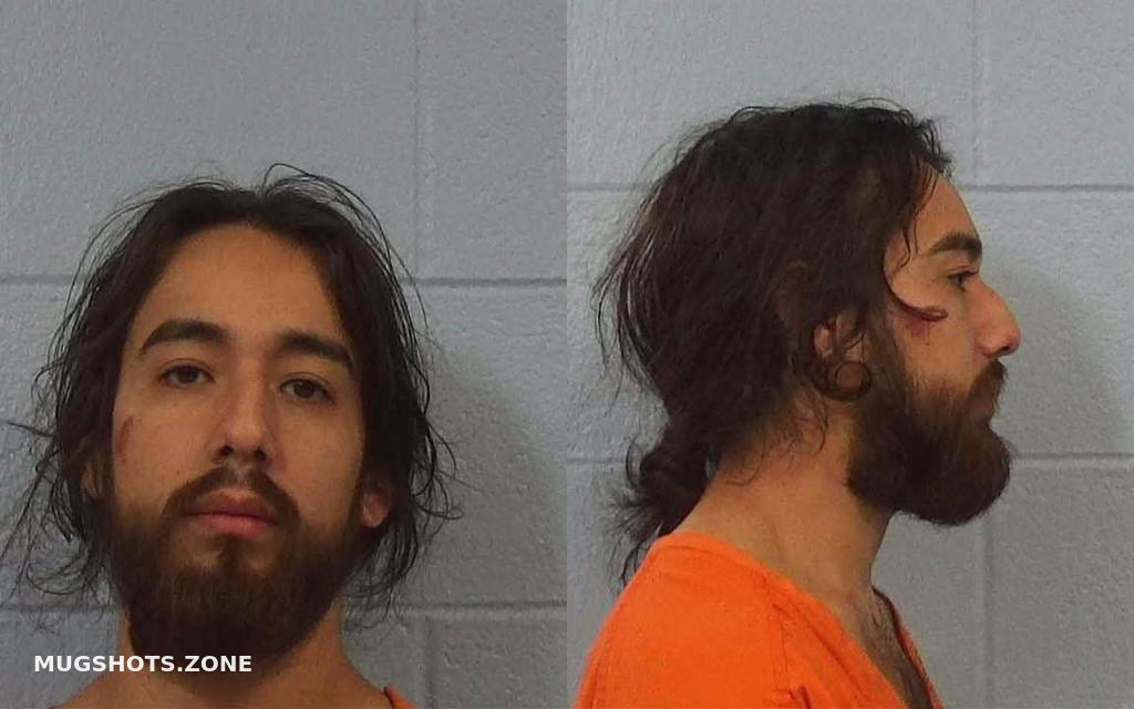 TAYLOR DAMMON JAVIER 12/05/2023 - Williamson County Mugshots Zone