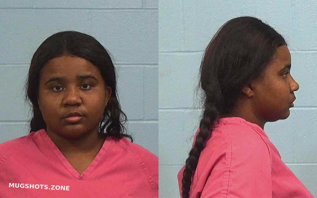 HARRIS SHERRON RENAN 12/19/2023 - Williamson County Mugshots Zone