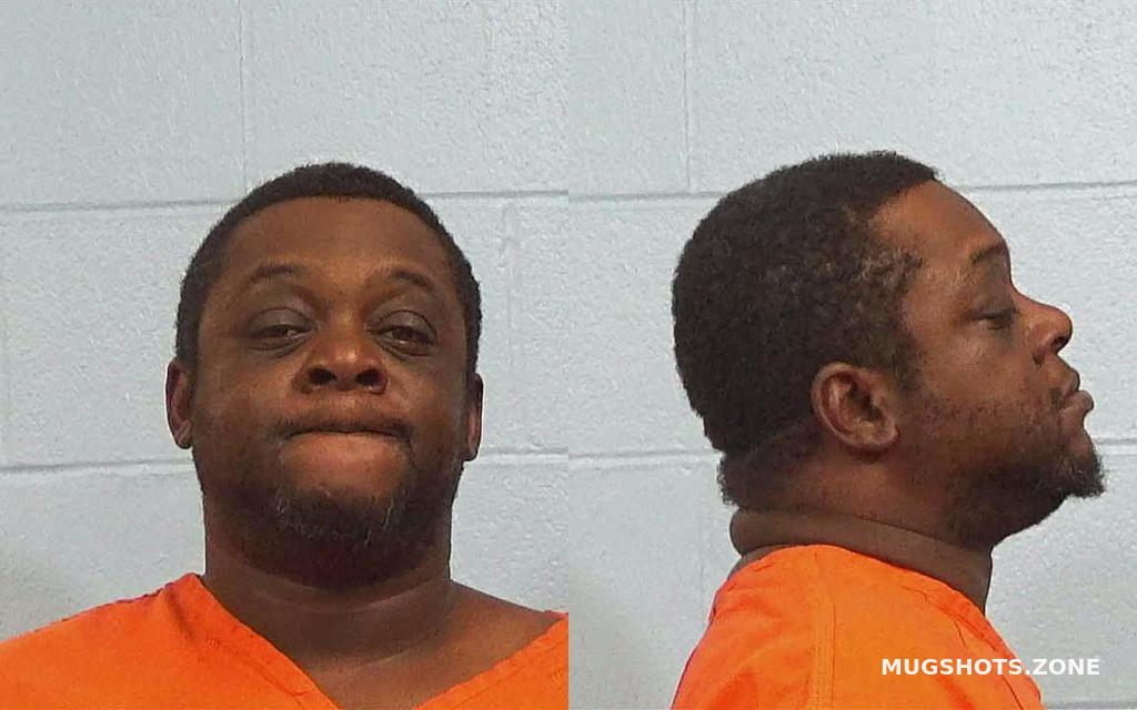 JOHNSON ORIE RUSSEL 12/28/2023 - Williamson County Mugshots Zone