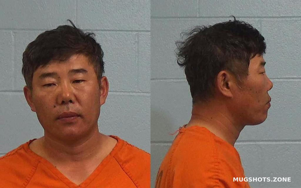 KIM DONG 01/01/2024 - Williamson County Mugshots Zone