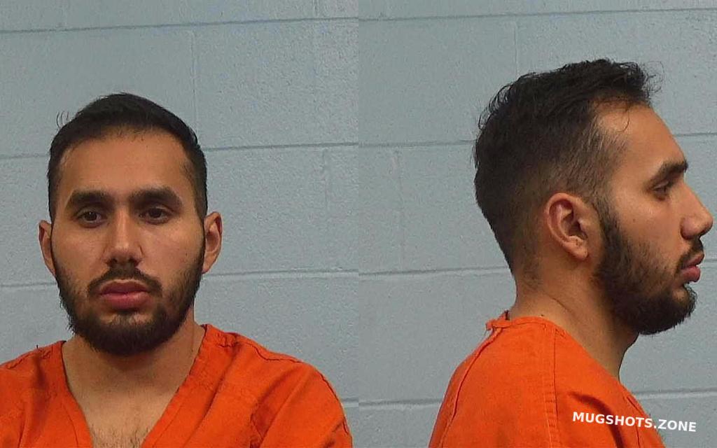 MICHEL-ACEVEDO CESAR 01/07/2024 - Williamson County Mugshots Zone