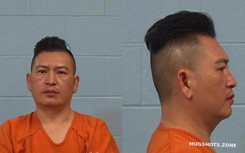 TRAN LOC TAN 02/10/2024 - Williamson County Mugshots Zone