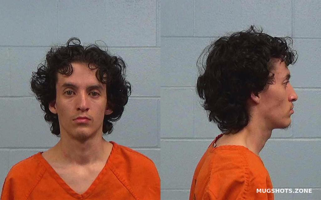 FINLEY DYLAN 02/11/2024 - Williamson County Mugshots Zone