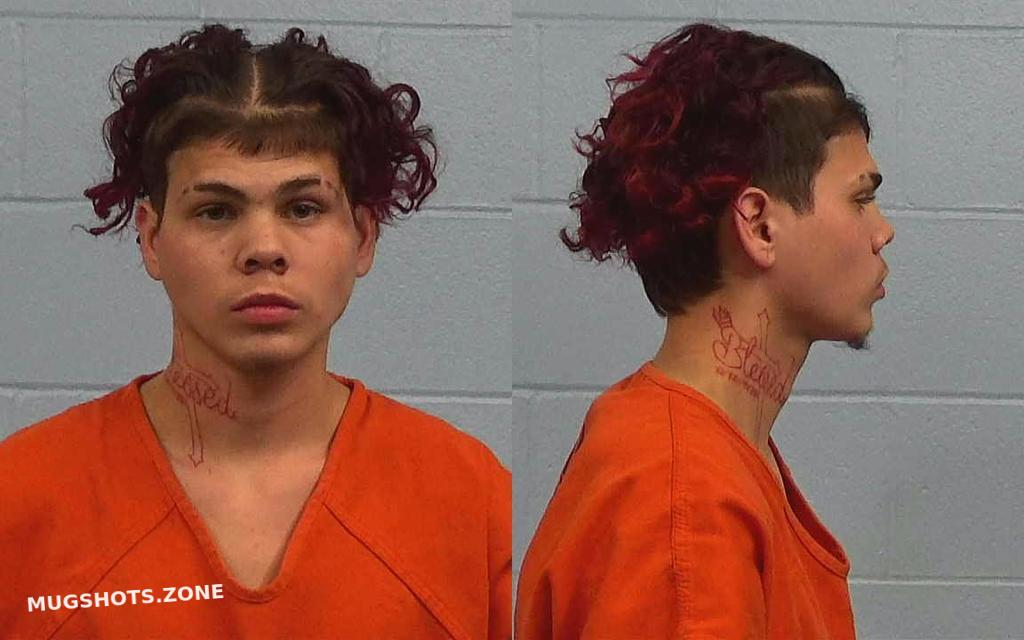 ROSAS JAYDEN DAVID 02/13/2024 - Williamson County Mugshots Zone