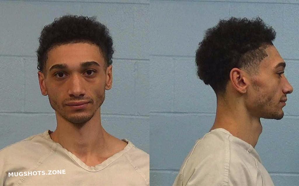 BUSTAMANTE GABRIEL GIANI 02/16/2024 - Williamson County Mugshots Zone