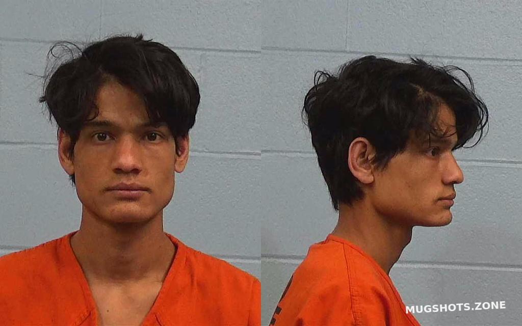 BINOD OLI 02/16/2024 - Williamson County Mugshots Zone